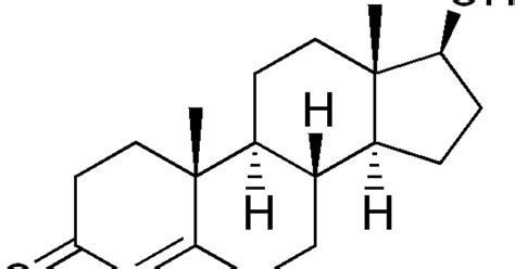 Тестостерон метафизически — Teletype