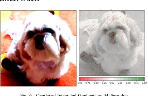 Figure 6 From Explaining Deep Neural Network Using Layer Wise Relevance