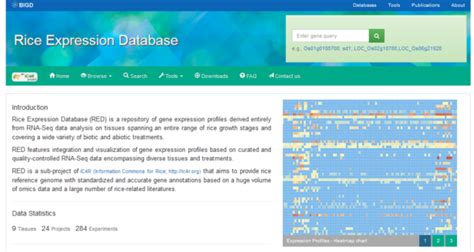 Rice Expression Database Red An Integrated Rna Seq Derived Gene Expression Database For Rice