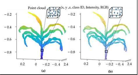 Lidar Point Cloud Data Model Of A Sorghum Plant With The