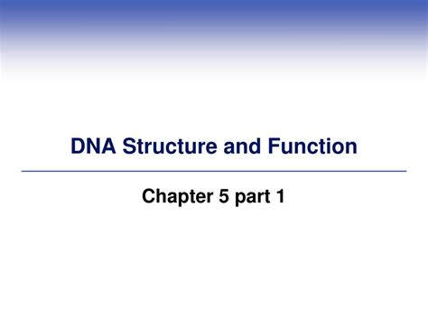 PPT DNA Structure And Function PowerPoint Presentation Free Download ID 3049302