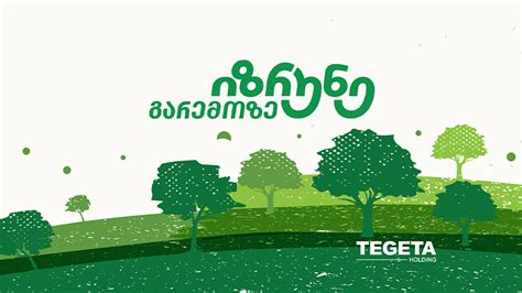 „თეგეტა ჰოლდინგი“ დასუფთავების მსოფლიო დღის აქციას შეუერთდა Netgazeti • თეგეტა მოტორსი