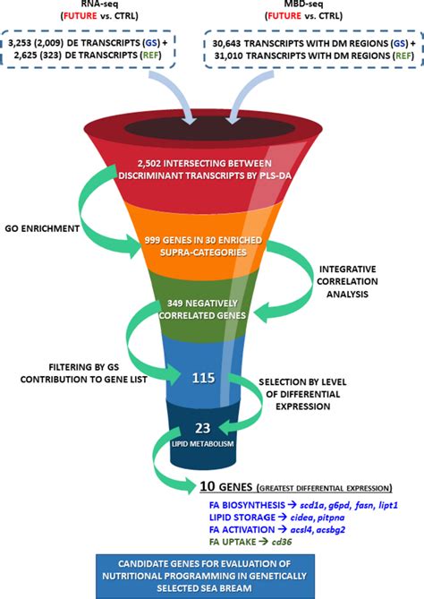 Chart Representing The Filters And Criteria Applied For Matching Download Scientific Diagram