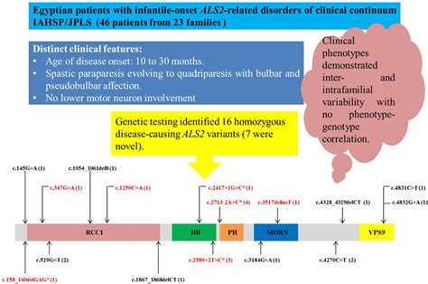 Clinical And Molecular Spectrum Of A Large Egyptian Cohort With Als2‐related Disorders Of