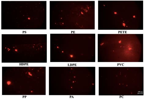 Microscopy Photos Of Stained Microplastic Polymers At Excitation Range