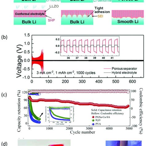 Self Healing Gel Polymer Electrolytes In Libs A Schematics Of Li Download Scientific Diagram