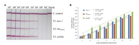 Sensitivity Analysis Of The Triplex Rpa Lfd Assay A Results Of