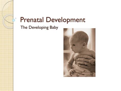 Ppt Prenatal Development Conception To Birth Journey Powerpoint Presentation Id 9213412