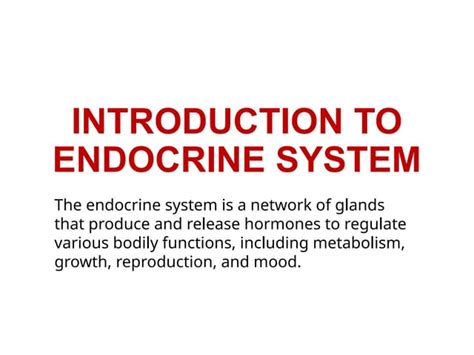 Endocrine System Powerpoint Presentation Ppt