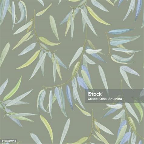 유칼립투스 잎이 매끄러운 무늬가있는 가지 약용 나무 나뭇 가지에 대한 손으로 그린 그림 끝없는 단풍 배경 직물과 벽지를 위해 건강관리와 의술에 대한 스톡 벡터 아트 및 기타