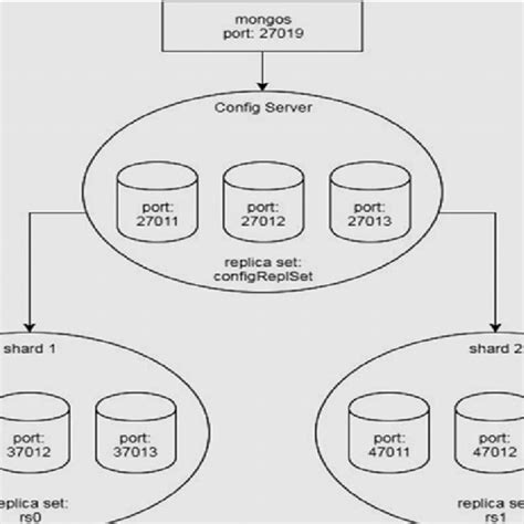 Topology Of The Mongodb Environment Download Scientific Diagram