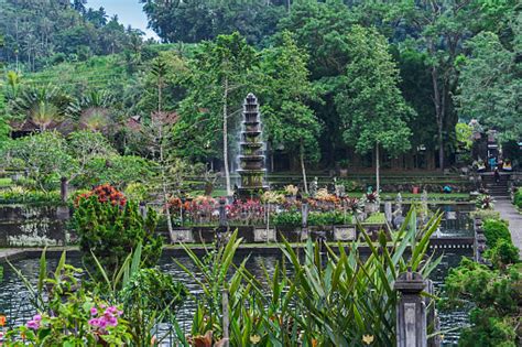 발리 섬 인도네시아에 Tirta Gangga 물 궁전 관광에 대한 스톡 사진 및 기타 이미지 관광 관광객 궁전 Istock