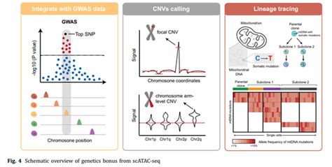 Abiotech 中山大学徐锦课题组综述 Scatac Seq 数据分析方法 知乎
