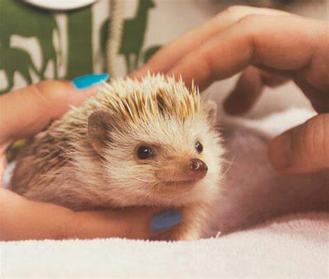 Untitled David Goehring Flickr