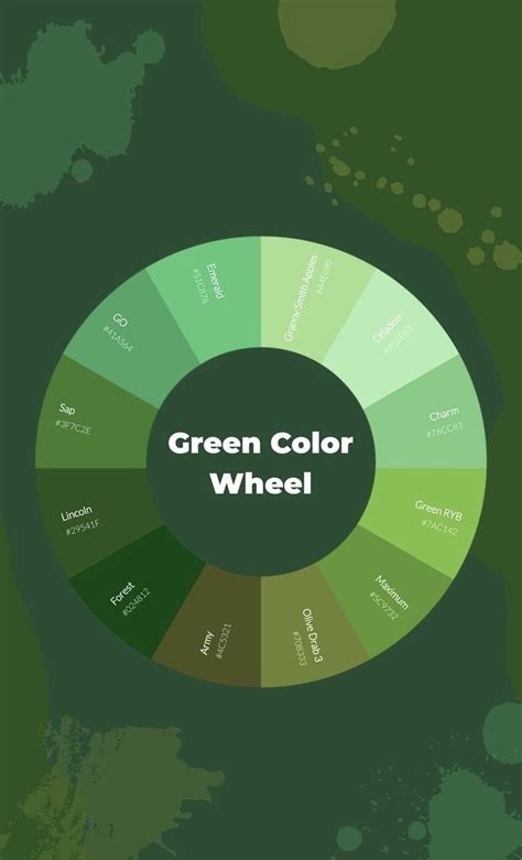 Green Color Wheel Graphic