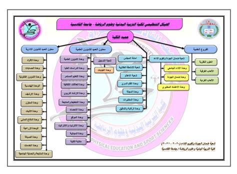 كلية التربية البدنية وعلوم الرياضة الهيكل التنظيمي