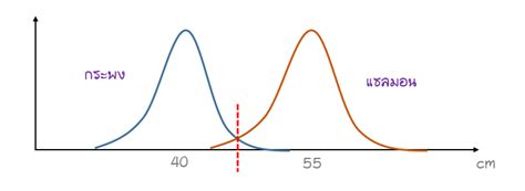 Classification กับ Bayes Theorem และบทบาทของ Maximum Likelihood