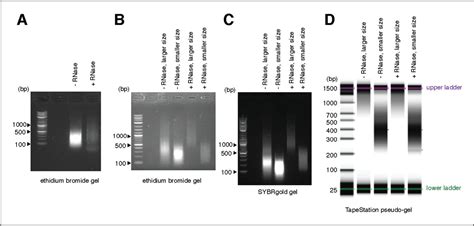 Figure From Profiling Of Transcription Factor Binding Events By