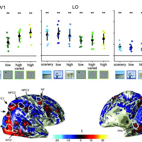 Illustration Diagram Of The Arithmetic Circuits These Circuits Mainly Download Scientific
