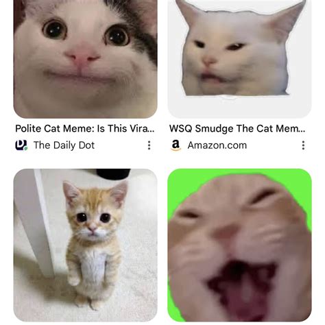 Sam Dose Edit Cat Youtube