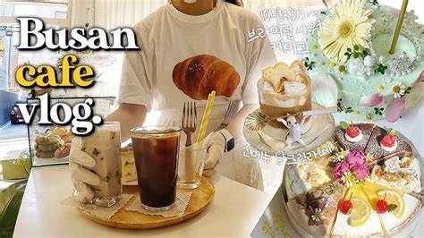 Eng 부산 디저트 카페 Vlog 하루종일 손님 맞이하고 케이크 만들고 배달하는 일상맘모스크럼블고구마치즈케이크보늬밤케이크10년지기 브라이덜샤워 케이크👩🏻‍🍳