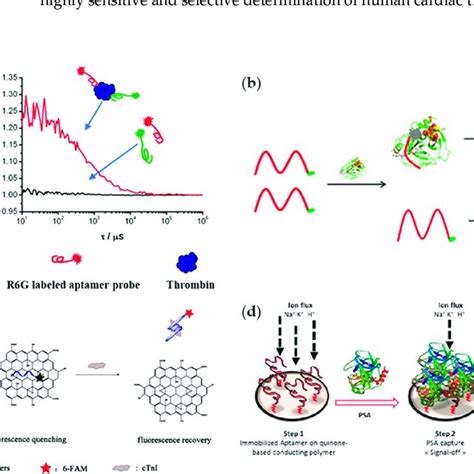 Protein Detection Based On Dna Aptamers A Aptamer Probes Protein Download Scientific Diagram