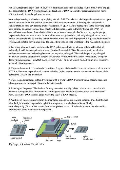 Solution Dna Hybridization Method Studypool