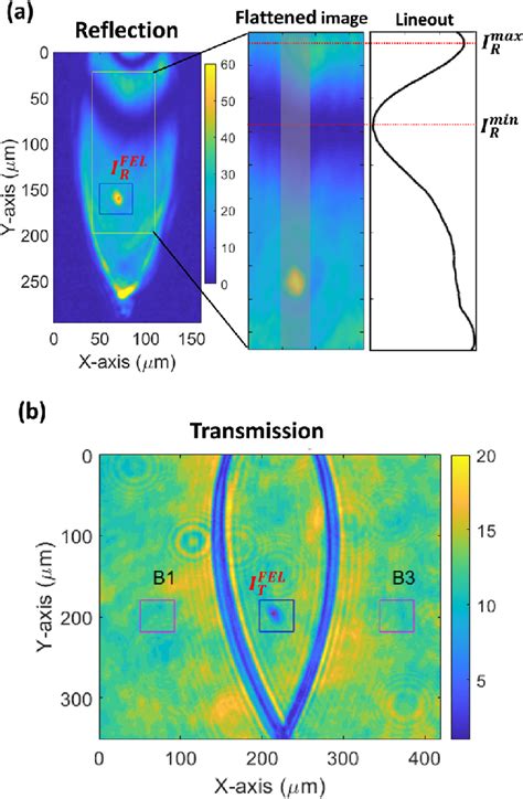 Examples Of The Reflection And Transmission Data Analysis The Data Download Scientific Diagram
