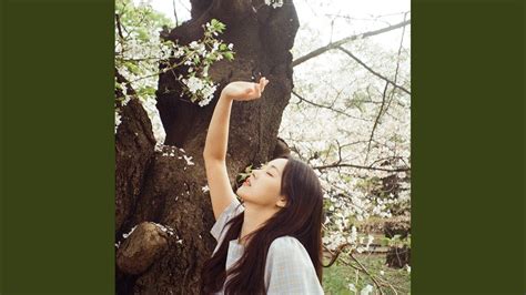 나의 봄이 되어줘 Youtube Music