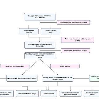 The Complete Workflow Of The Study TCGA The Cancer Genome Atlas Download Scientific Diagram