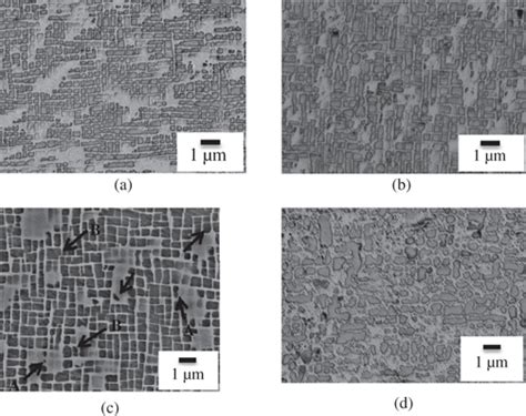 a d sem micrographs showing the microstructure of samples quenched