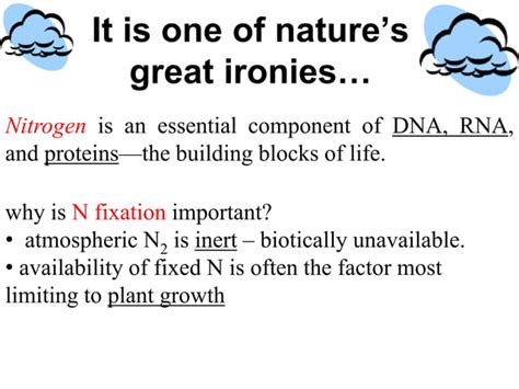 Lab8 Isolation Of Nitrogen Fixer Bacteria Pdf