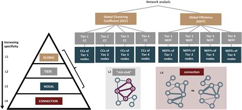 A Comprehensive Hierarchical Comparison Of Structural Connectomes In