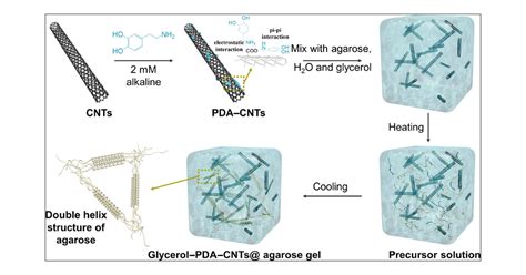 Fabrication Of Conductive Adhesive And Stretchable Agarose Based Hydrogels For A Wearable