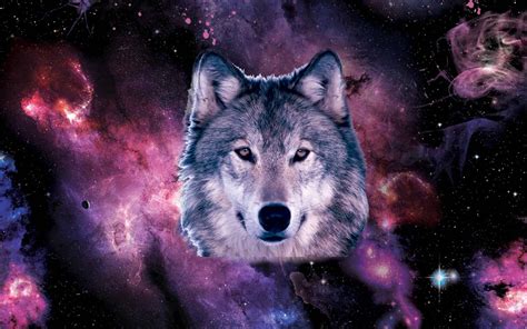100 Cool Galaxy Wolf Wallpapers Wallpapers Com 100 Cool Galaxy Wolf Wallpapers Wallpapers Com