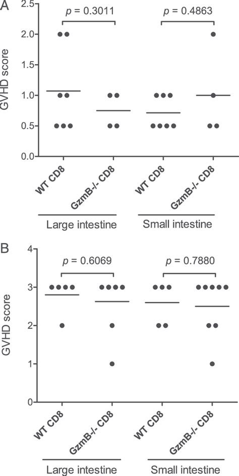 Gzmb 22 Cd8 T Cells Do Not Exacerbate Gvhd In The Tumor Bearing