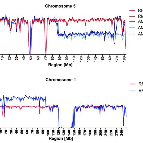 Detection Of Whole Chromosome Gains And Losses By Copy Number Variation Download Scientific