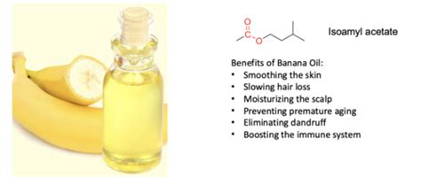 Experiment 4 Synthesis Of Banana Oil Isopentyl Acetate Flashcards Quizlet