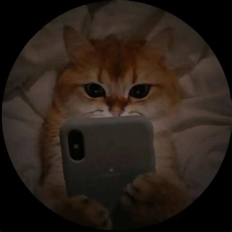 ♡katalyna♡ Youtube