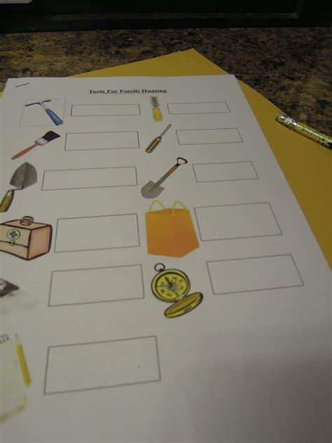 Life S Adventures Fossil Class