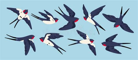 Flying Swallows Various Positions Gliding Cartoon Birds Black With