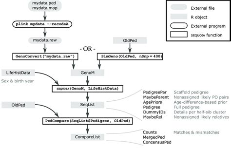 Overview Of Program Use Input Consists Of A Numeric Matrix With