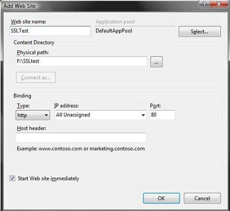 SSL On IIS R Windows Vista In Seconds Web X Programming