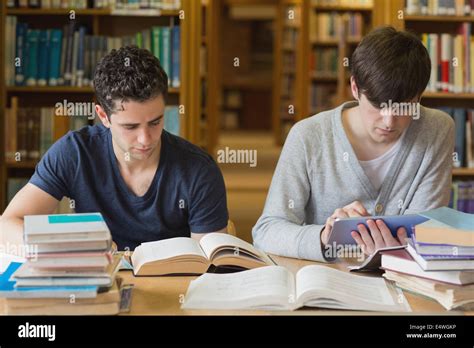 Men Studying In Library Stock Photo Alamy