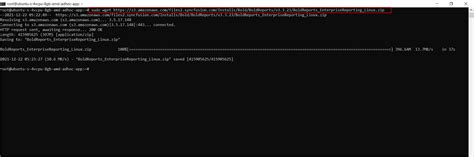 how to deploy bold reports in linux
