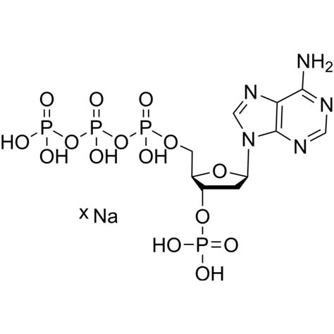 3 P Datp Sodium Dntp Medchemexpress