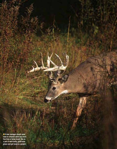 Advanced Food Plotting