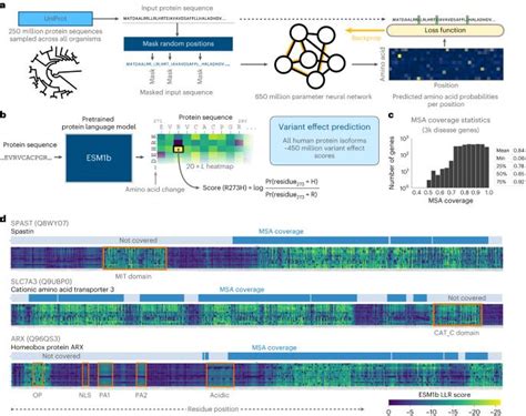 Reem Yunis Phd On Linkedin Genome Wide Prediction Of Disease Variant
