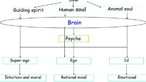 Soul Psyche Relationship The Three Parts Of The Soul Interact