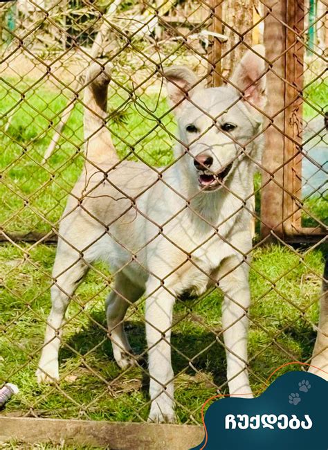 თათები • Tatebi თათები • Tatebi Added A New Photo